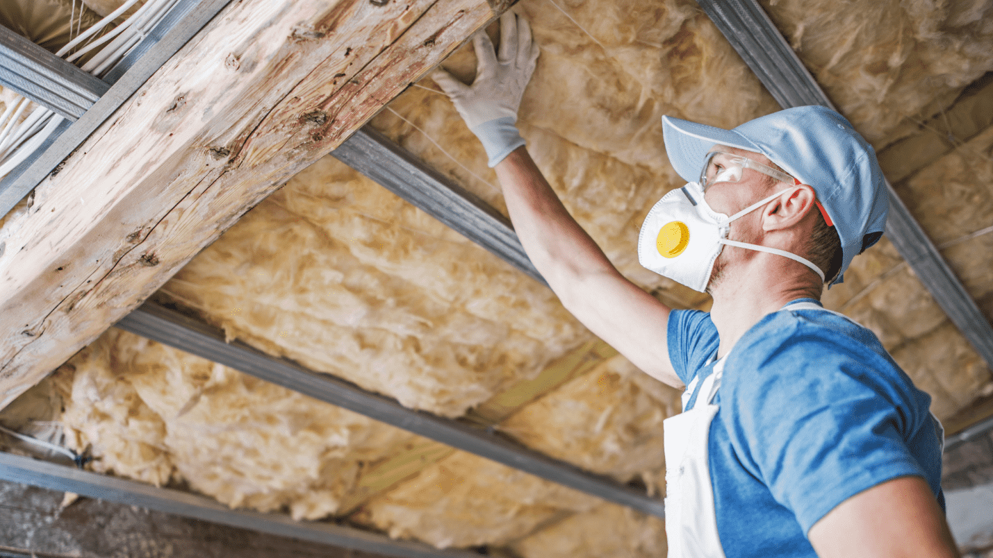 Quick and Complete Insulation Removal Services in Berkeley